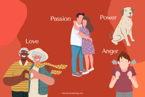 Meaning of the Color Red: Symbolism, Uses, And More