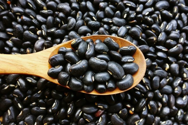 Black Things: 64 Things That Are Black In Nature (+Photos)