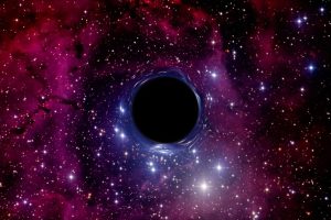 Black Things: 64 Things That Are Black In Nature (+Photos)
