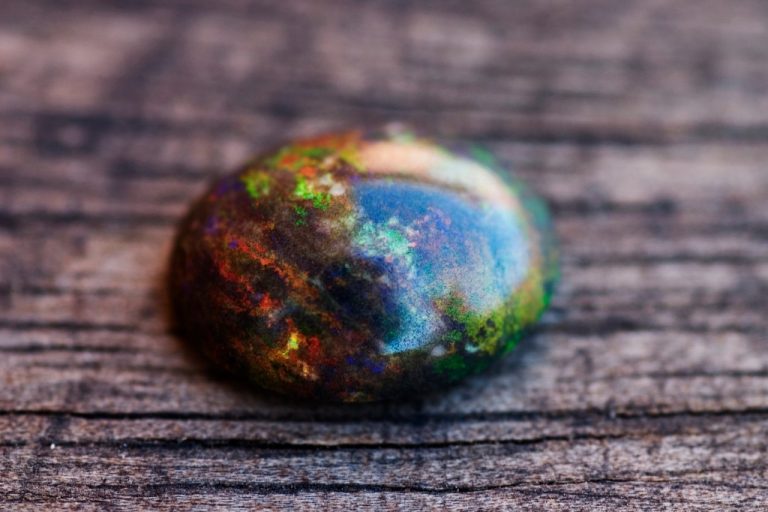 Black Things: 64 Things That Are Black In Nature (+Photos)