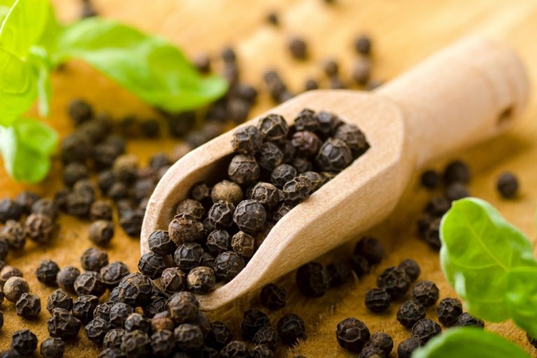 Black Things: 64 Things That Are Black In Nature (+Photos)