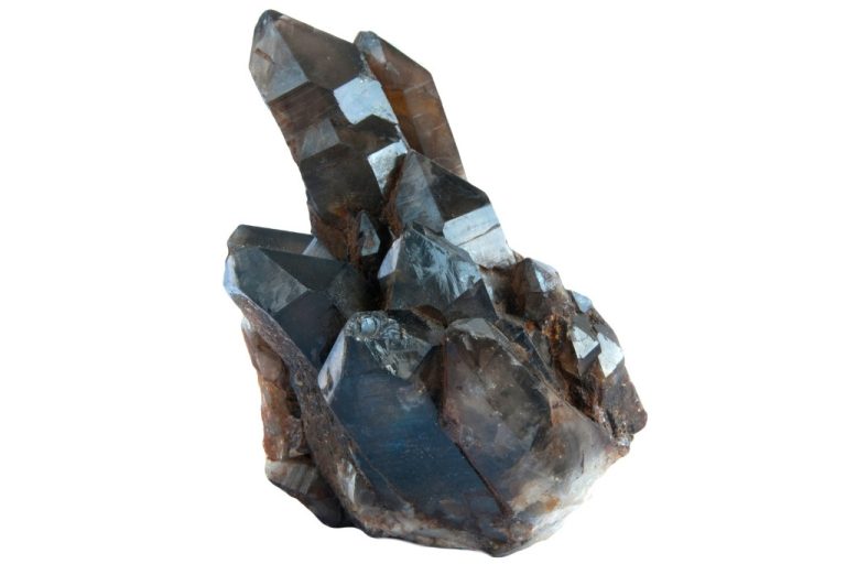 Black Things: 64 Things That Are Black In Nature (+Photos)