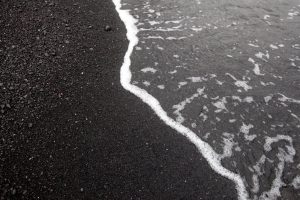 Black Things: 64 Things That Are Black In Nature (+Photos)