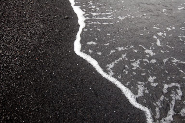 Black Things: 64 Things That Are Black In Nature (+Photos)