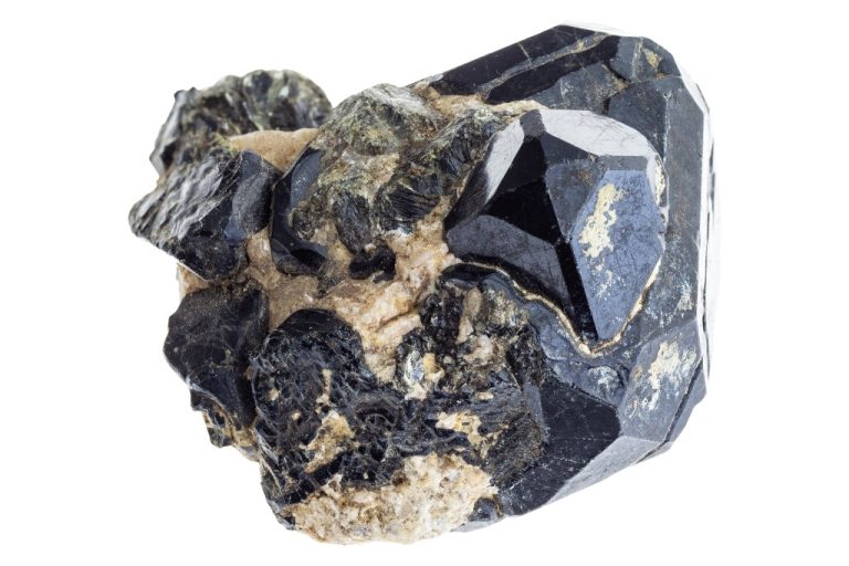 Black Things: 64 Things That Are Black In Nature (+Photos)