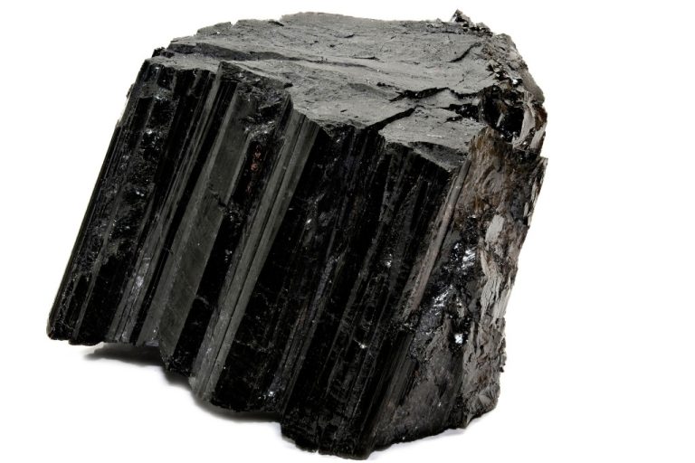 Black Things: 64 Things That Are Black In Nature (+Photos)