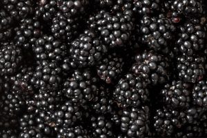 Black Things: 64 Things That Are Black In Nature (+Photos)