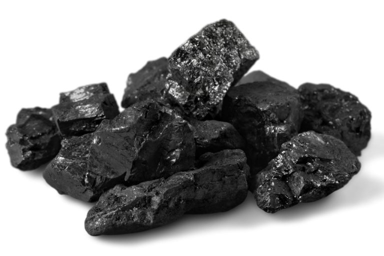 Black Things: 64 Things That Are Black In Nature (+Photos)