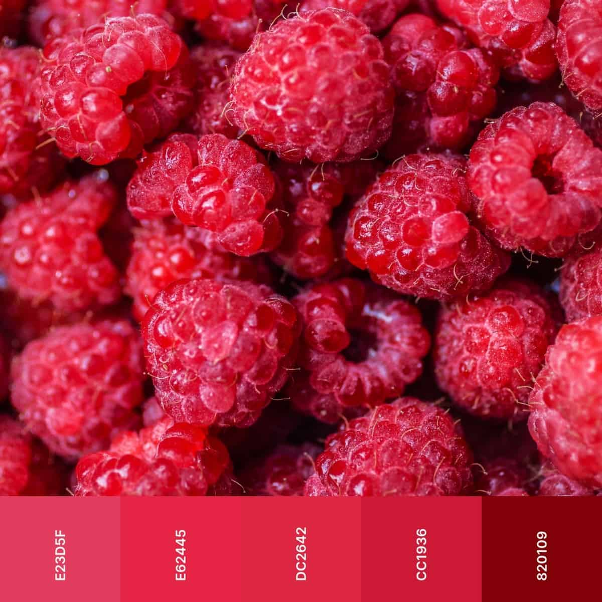 100+ Shades of Red Color with Names, Hex, RGB, & CMYK