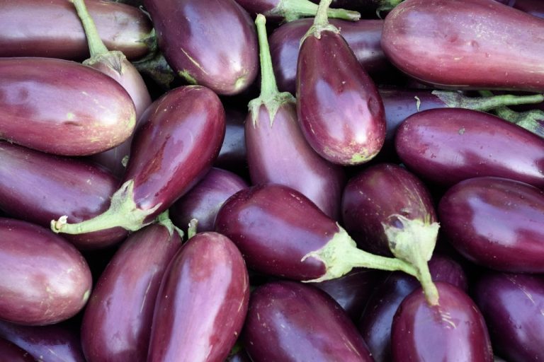 Purple Things: 60 Things That Are Purple In Nature