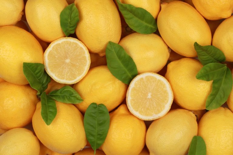Yellow Things: 64 Things That Are Yellow In Nature