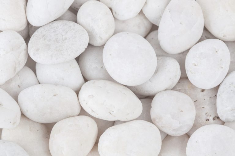 White Things: 68 Things That Are White in Nature