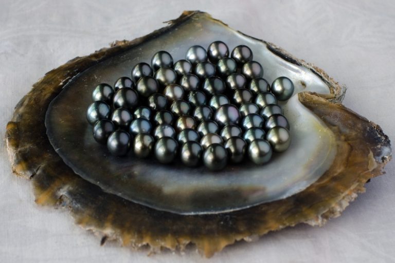 Black Things: 64 Things That Are Black In Nature (+Photos)