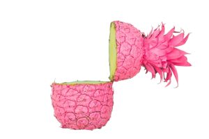 Pink Things: 56 Things That Are Pink in Nature