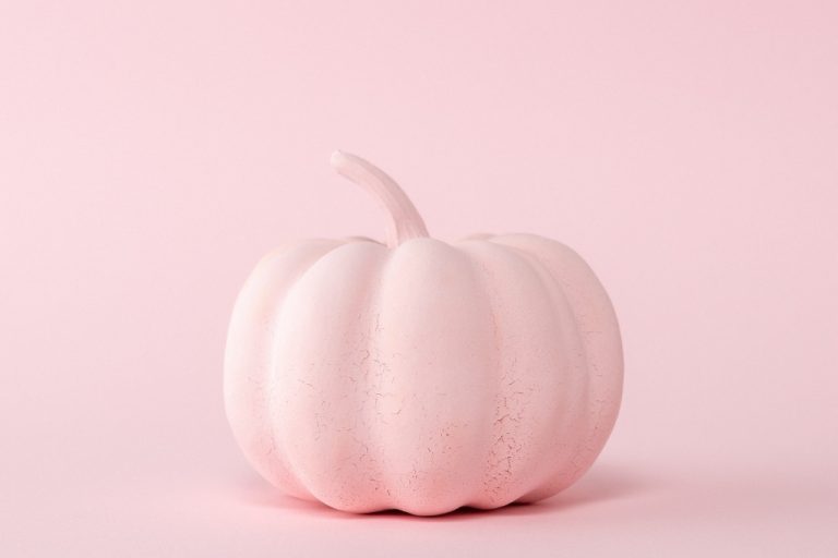 Pink Things: 56 Things That Are Pink in Nature