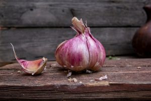 Purple Things: 60 Things That Are Purple In Nature