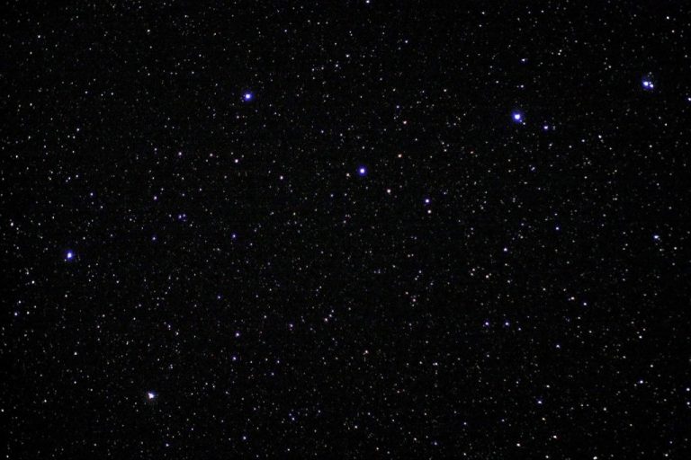 Black Things: 64 Things That Are Black In Nature (+Photos)