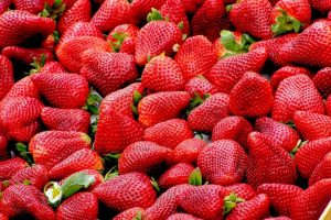 Red Things: 70 Things That Are Red in Nature