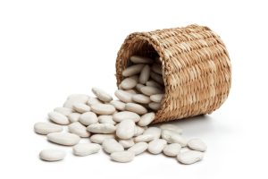 White Things: 68 Things That Are White in Nature