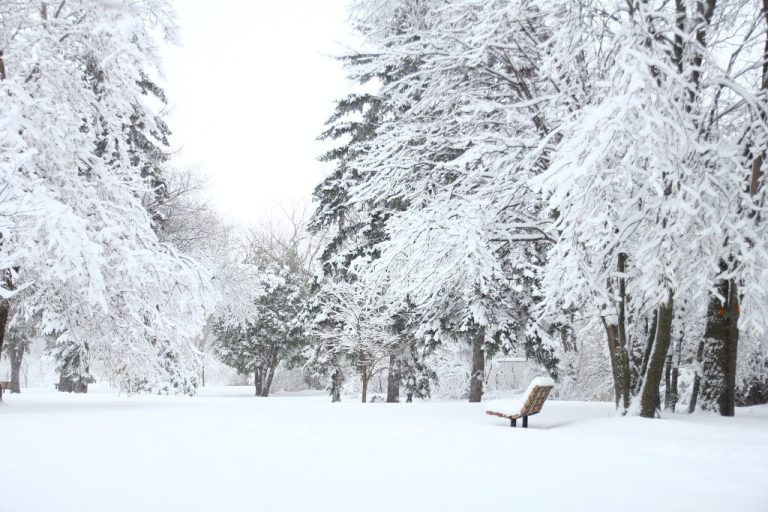 White Things: 68 Things That Are White in Nature