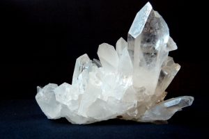 White Things: 68 Things That Are White in Nature