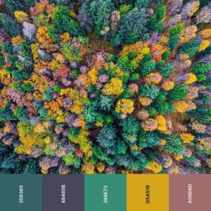 100+ Shades of Green Color with Names, Hex, RGB & CMYK