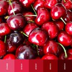 100+ Shades of Red Color with Names, Hex, RGB, & CMYK