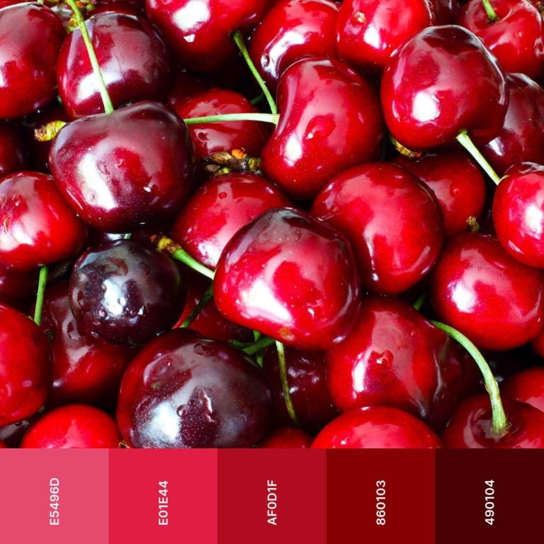 100+ Shades of Red Color with Names, Hex, RGB, & CMYK