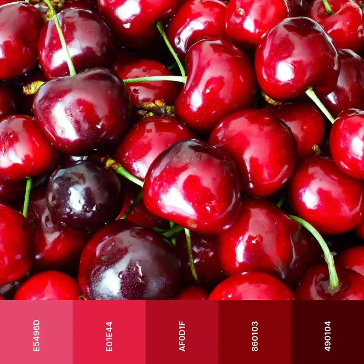 100+ Shades of Red Color with Names, Hex, RGB, & CMYK