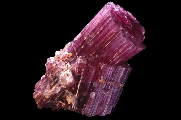 Red Things: 70 Things That Are Red in Nature