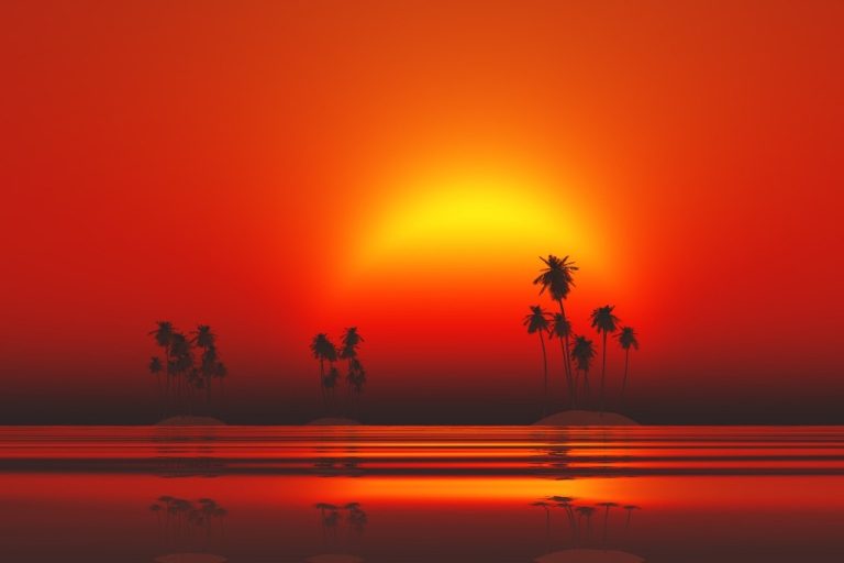 Red Things: 70 Things That Are Red in Nature