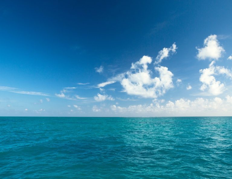 Favorite Color Blue: What Does It Say About You