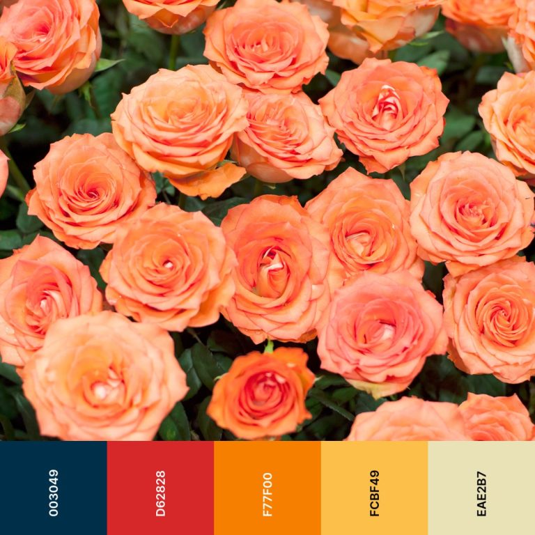 99 Shades of Orange with Names, Hex, RGB, & CMYK