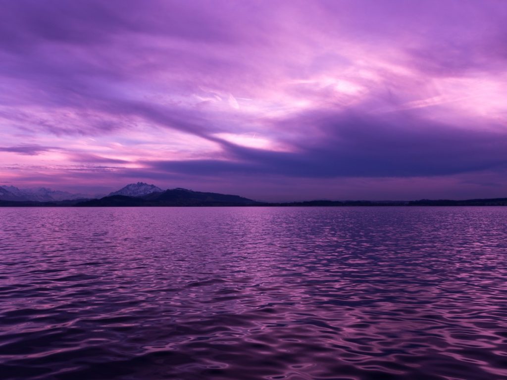 Favorite Color Purple: What Does It Say About Your Character