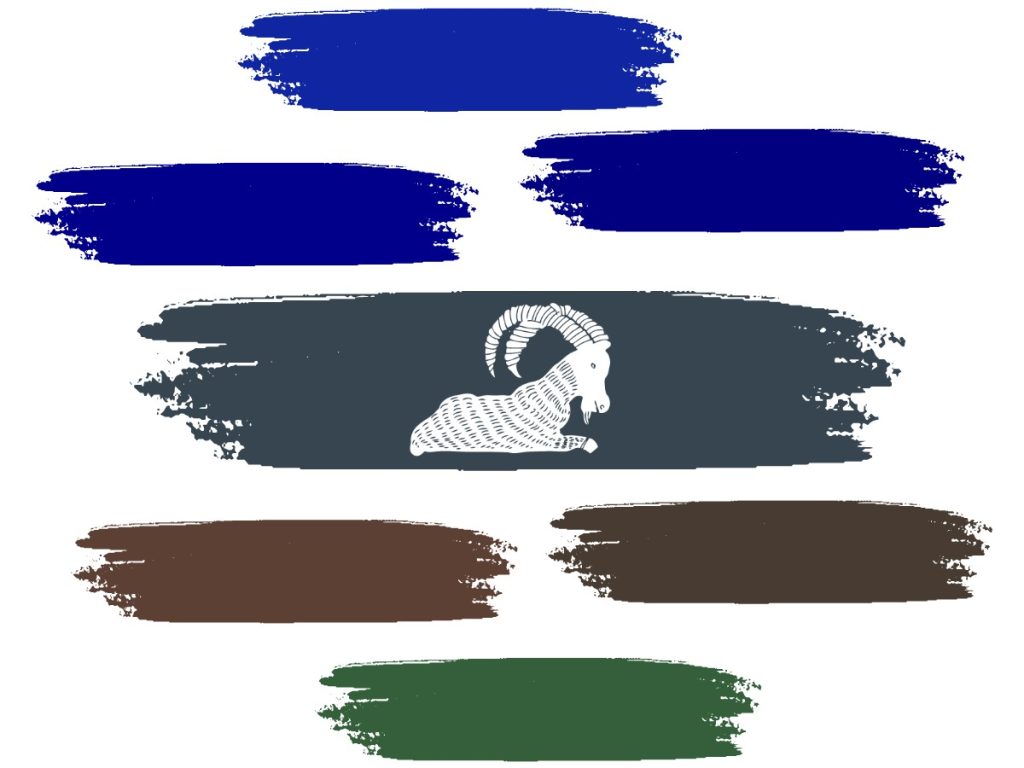 Capricorn Color Palette and Meanings (+ Colors to Avoid)