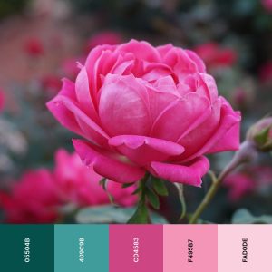 150 Shades of Pink with Names, Hex, RGB, & CMYK