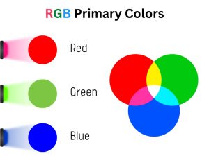 What Are Primary Colors: Definition, Examples, & More