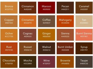 300 Shades of Brown with Names, Hex, RGB, & CMYK Codes