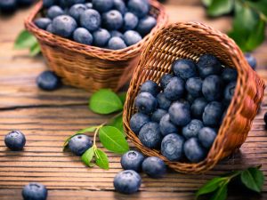 15 Delicious Blue Fruits You Should Eat Today