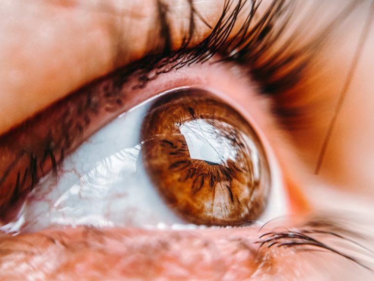 Brown Things: 51 Things That Are Brown in Nature