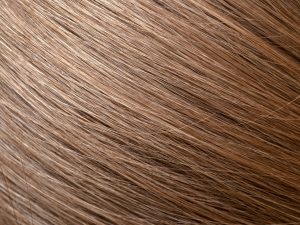 Brown Things: 51 Things That Are Brown in Nature