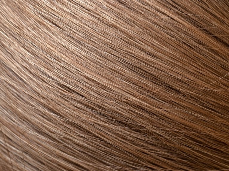 Brown Things: 51 Things That Are Brown in Nature