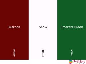 Meaning of the Color Maroon and Its Symbolism (+70 Colors)