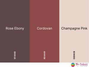 Meaning of the Color Maroon and Its Symbolism (+70 Colors)