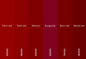 Meaning of the Color Maroon and Its Symbolism (+70 Colors)