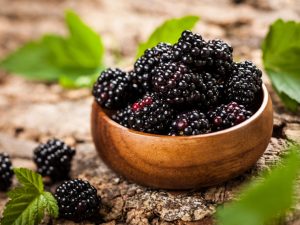 14 Delicious Purple Fruits to Include in Your Diet