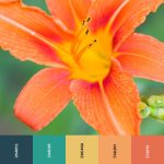 25 Shades of Teal Color With Names, Hex, RGB, & CMYK Codes