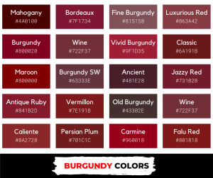 Burgundy Color: Its Meaning, Shades, & Color Codes