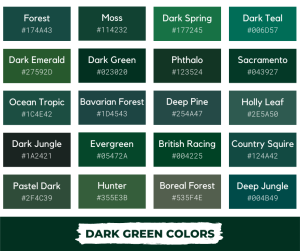 Dark Green Color: Meaning, Shades, and Color Codes