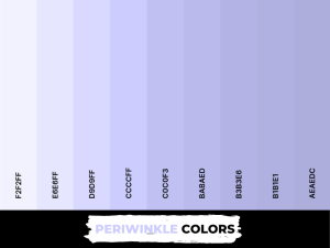 Periwinkle Color: Meanings, Shades, and Color Codes
